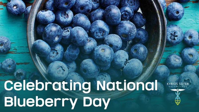 Celebrating National Blueberry Day: A Superfruit Worth Savoring ...