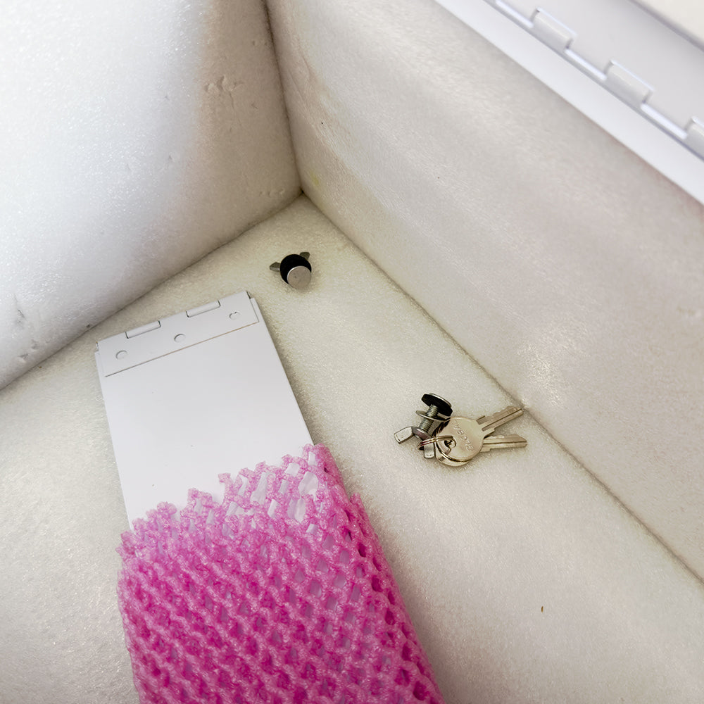 Metal Lock Box for Laboratory Specimens – Medium Size Blood & Urine St ...